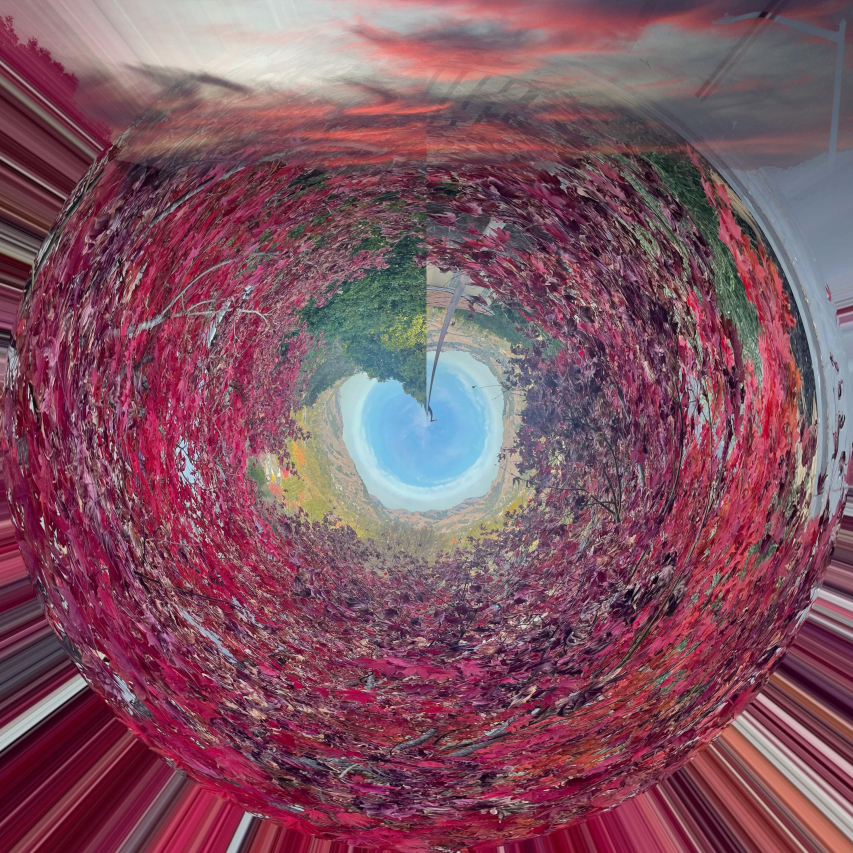 Meet Tiny the Rapper: Rising Star in the Hip-Hop Scene - Daniel Oren