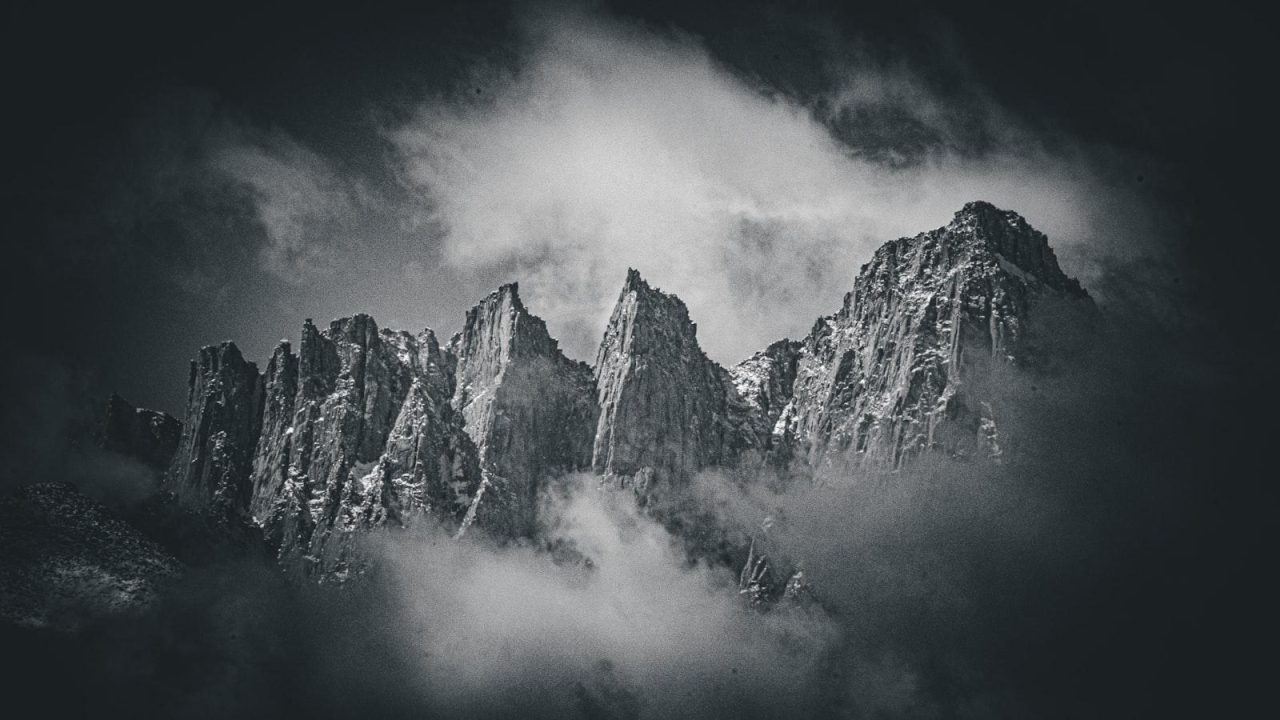 The Inspiring Story of Whitney Alford: Kendrick Lamar's Muse - Daniel Oren