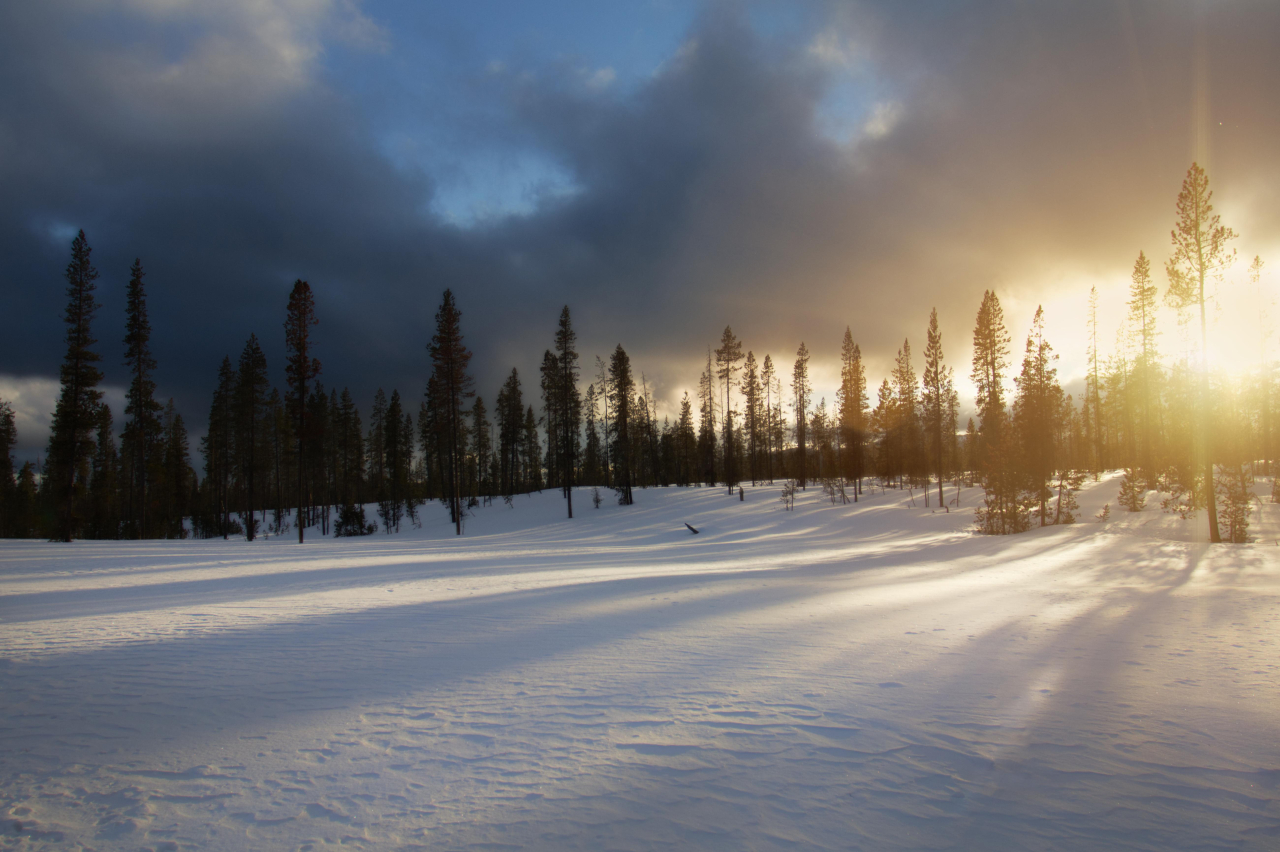 Winter House Season 2: Everything You Need to Know - Daniel Oren
