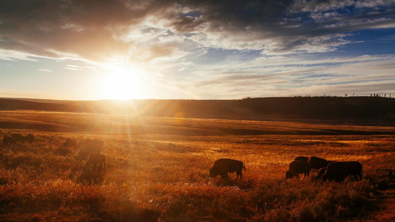Hayden Christensen and Rachel Bilson: A Look at Their Relationship ...