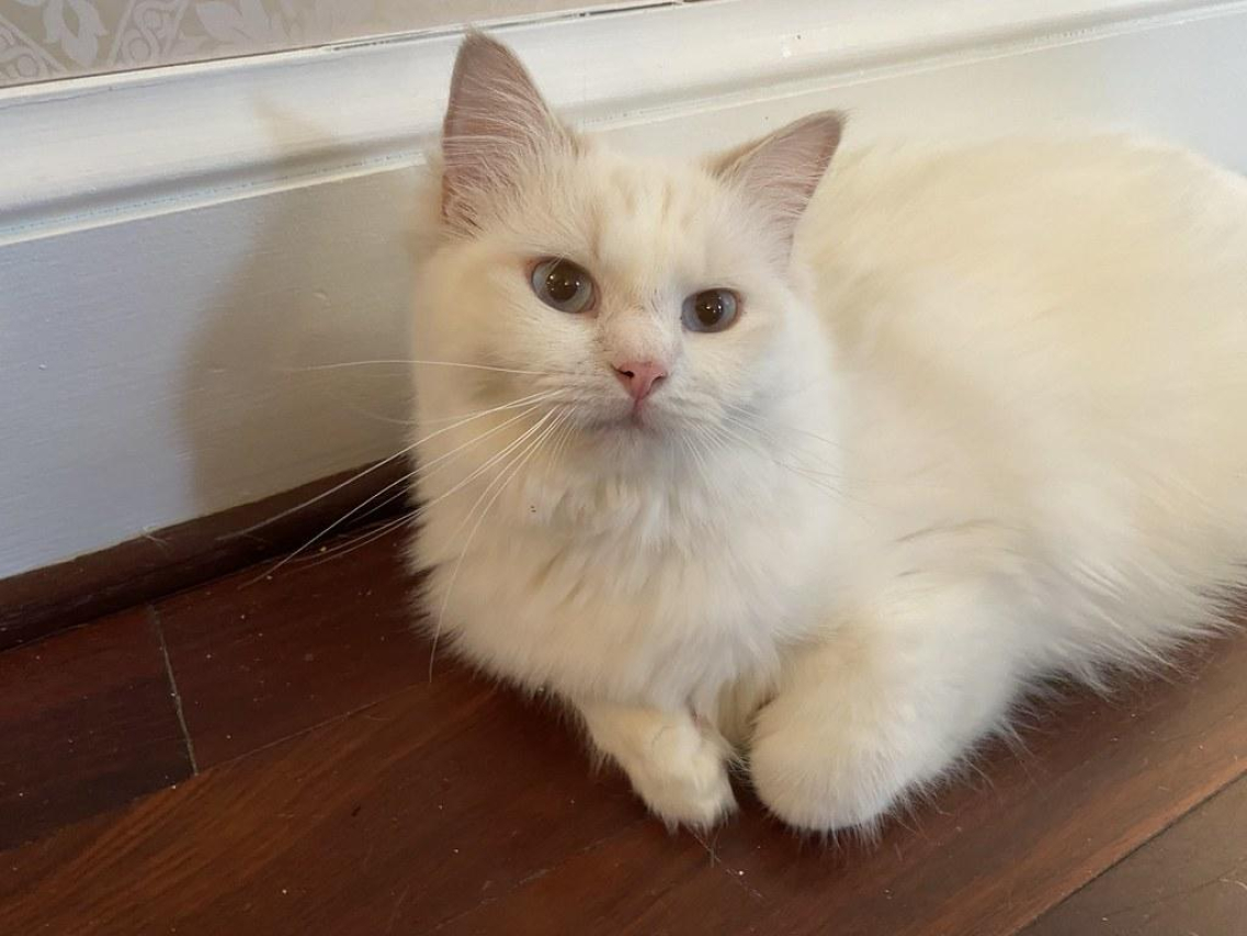 Exploring Kylie Jenner's Dating History: Boyfriends Over the Years ...