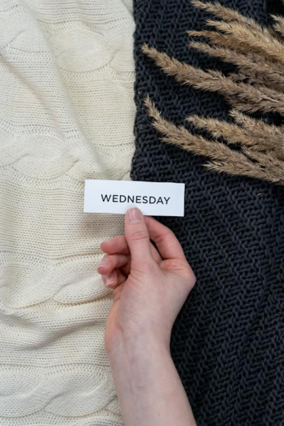 The Ultimate Guide to Wednesday Halloween Costumes: Tips and Ideas ...