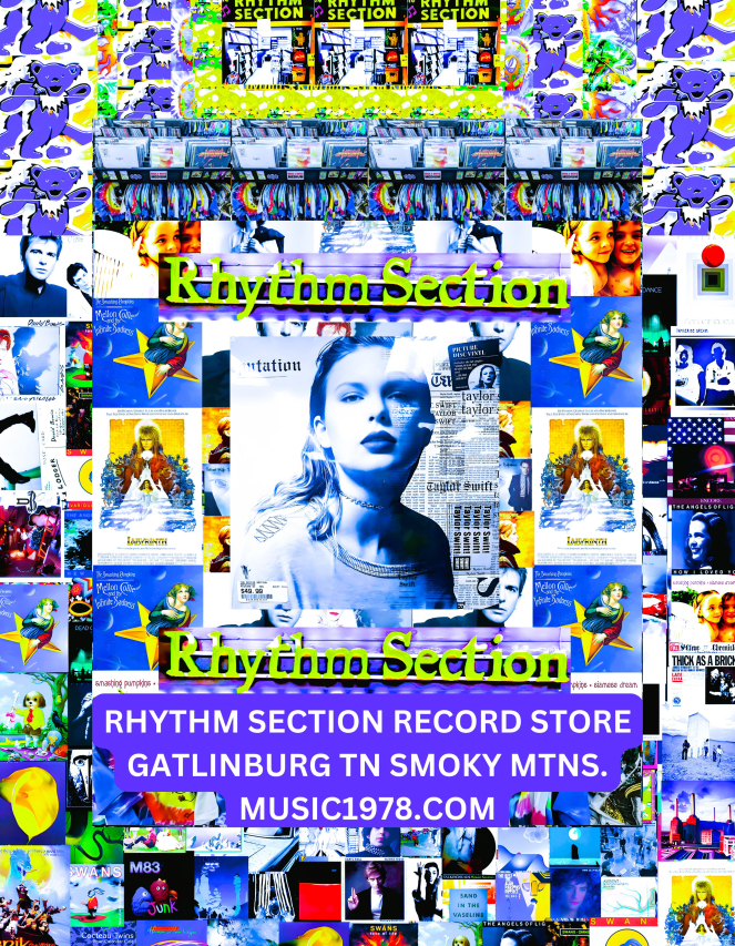 The Rise of Reality Star Cristy Rice: From TV to Entrepreneur - Daniel Oren