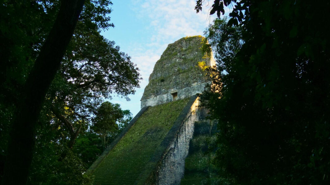 The Mystery of Maya: Unraveling Suite Life on Deck's Enigmatic ...