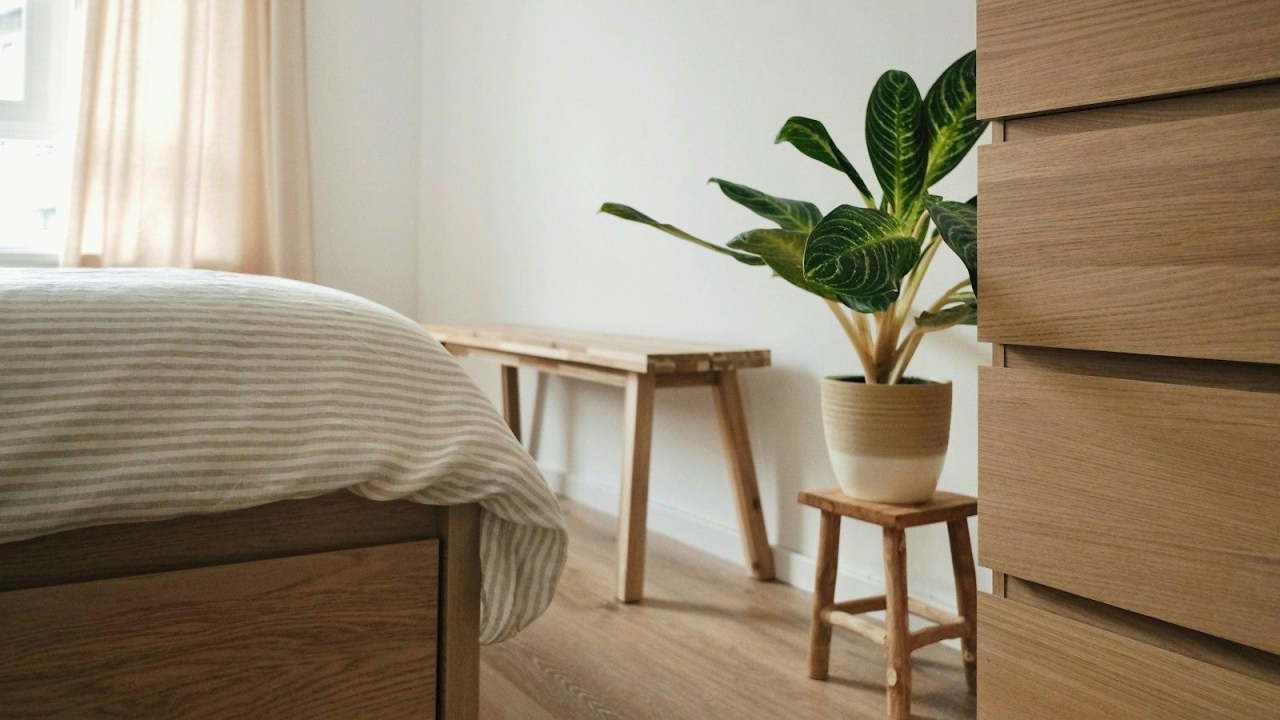 Where to Watch Vampire Diaries Online: Streaming Options & Platforms ...