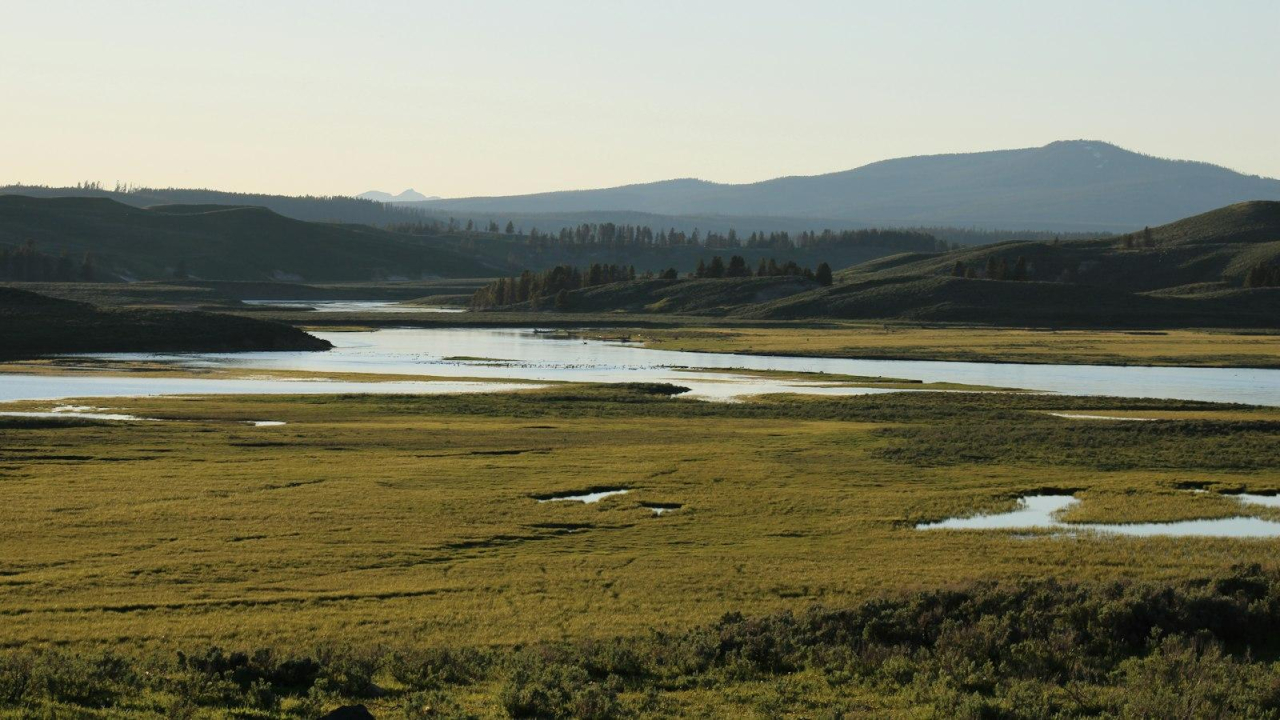 Uncovering the Relationship Between Hayden Christensen and Rachel ...