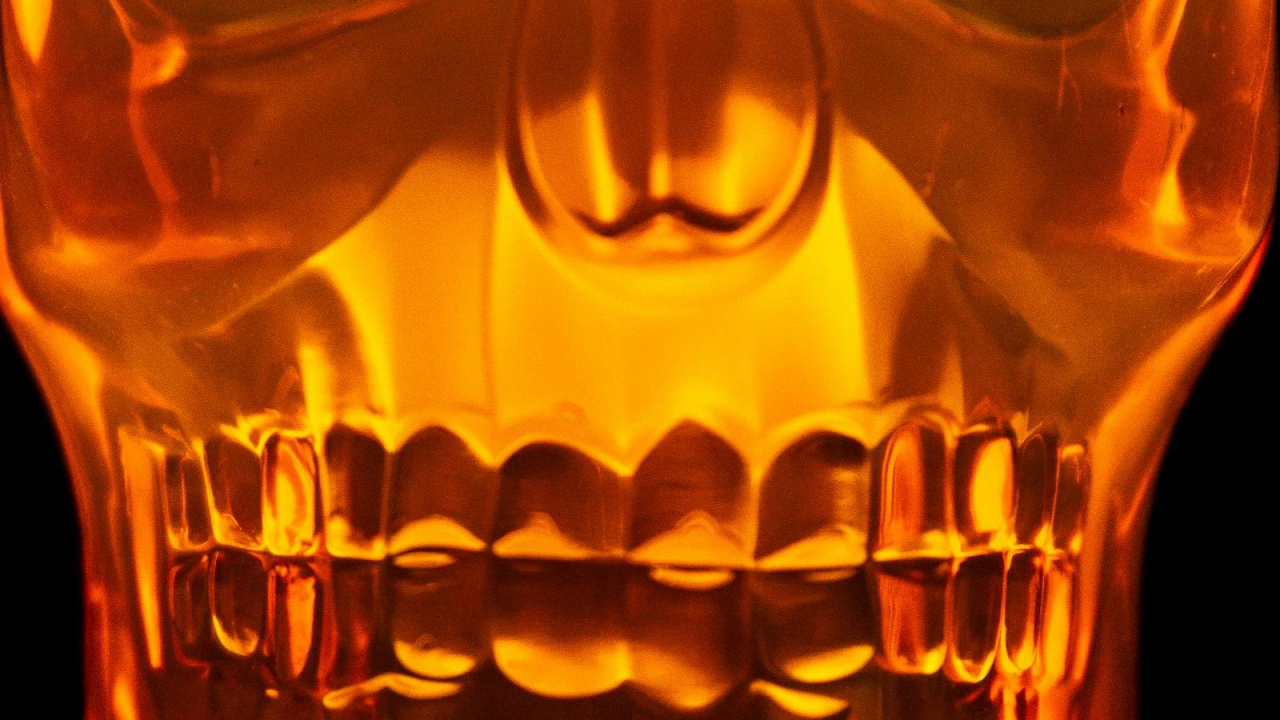 Meet the Cast of The Vampire Diaries: A Look at the Actors - Daniel Oren