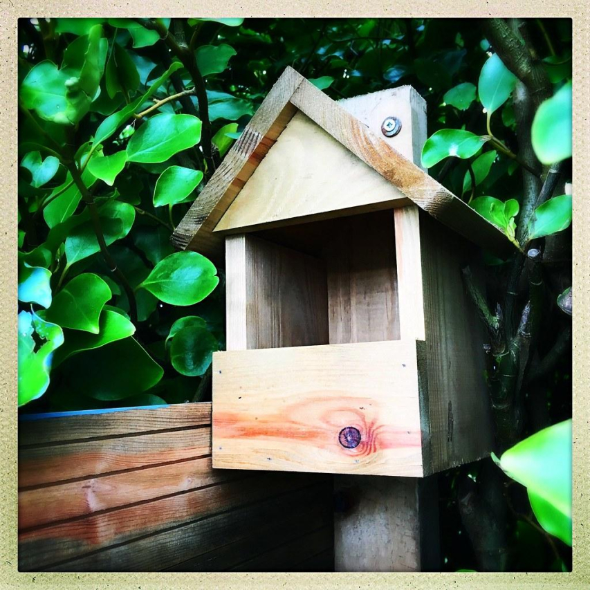 Unraveling the Hilarious Bird Box Meme: A Viral Sensation Explained ...