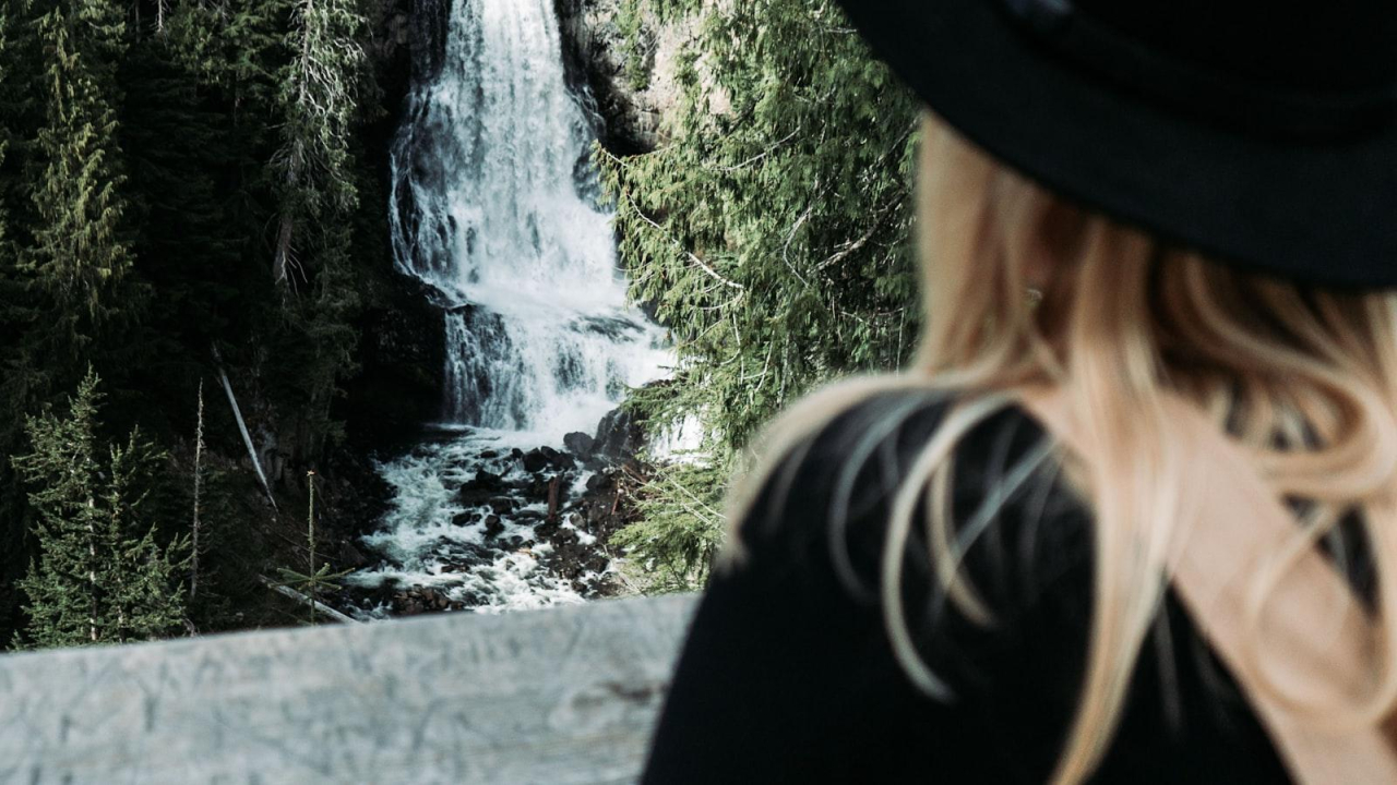 Meet Alexander AE Edwards: Multi-Talented Musician and Influencer ...