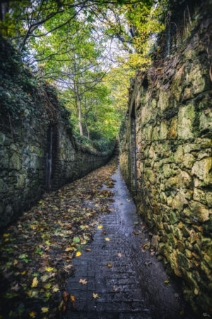 Uncover the Mysteries of Enya Castle: A Hidden Gem of Ireland - Daniel Oren